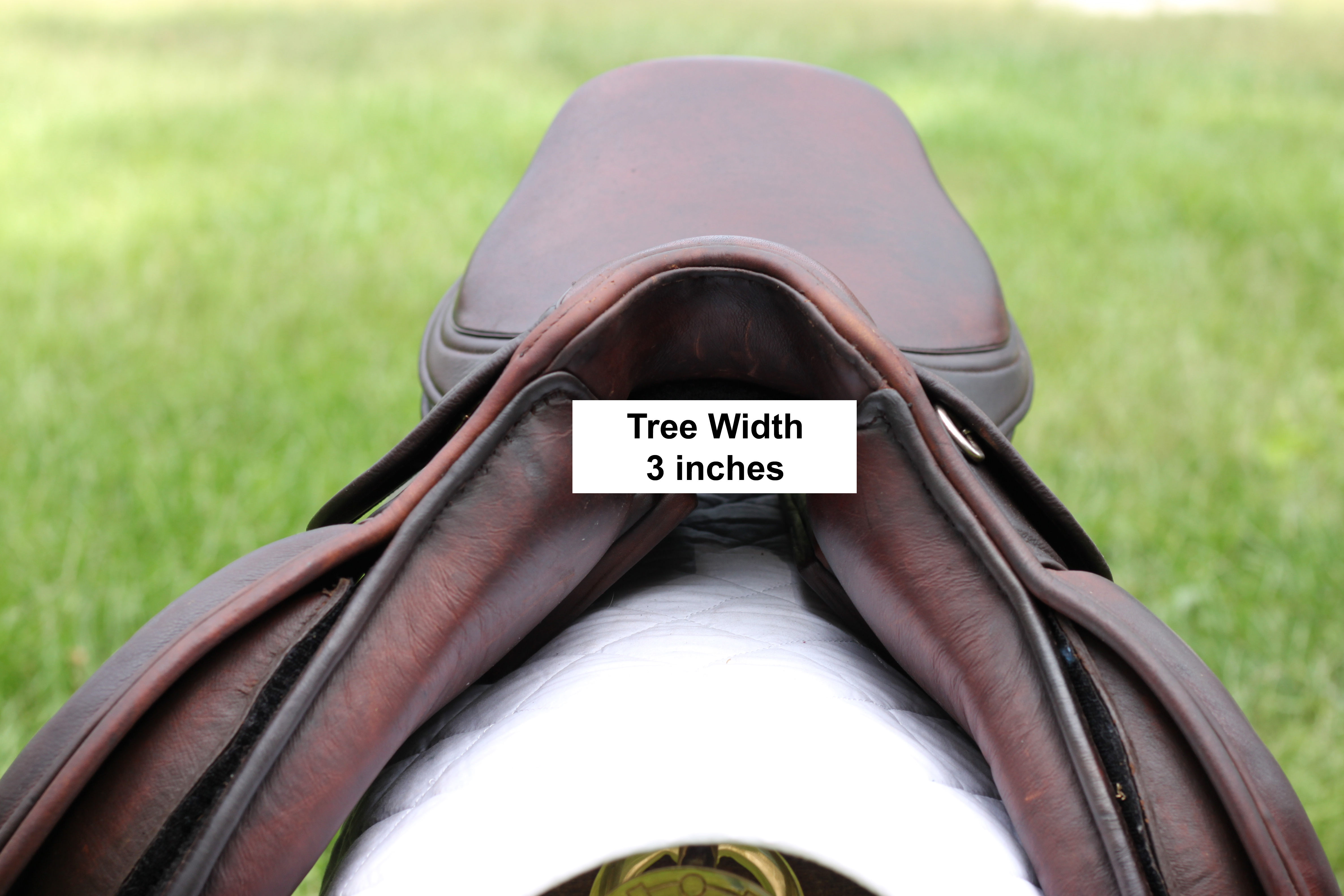 17 ½" Pegasus Jumping Saddle with Fully adjustable Dragon Panels