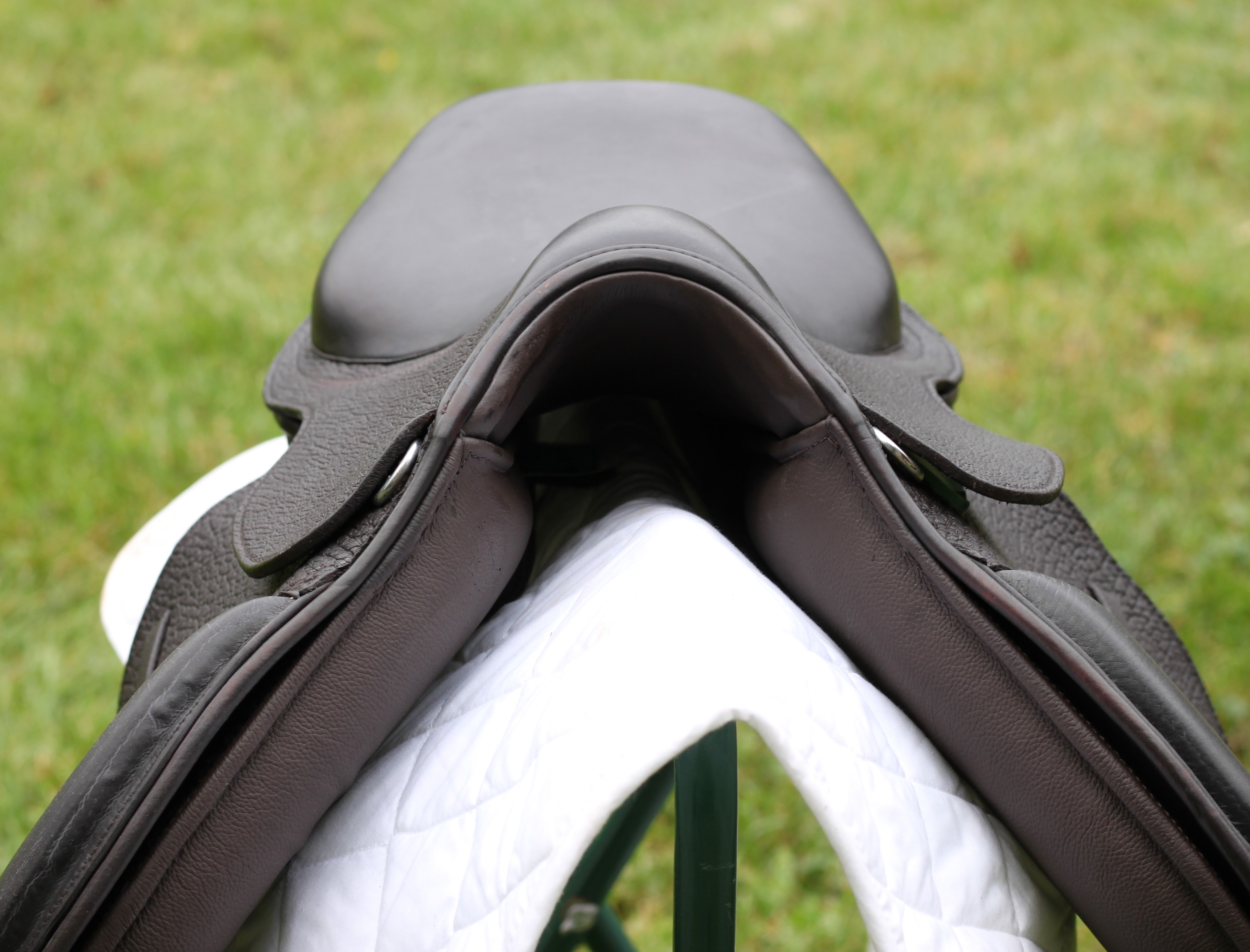 17 ½” Pegasus Jumping Saddle with Half Dragon Panels